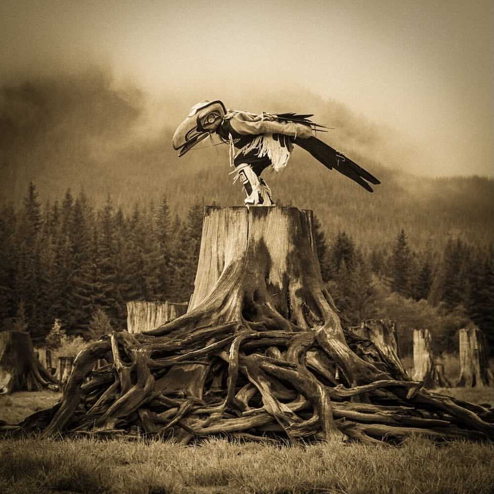 "Raven Tells His Story in the Fog" 3 sizes available – Photos by Zoe